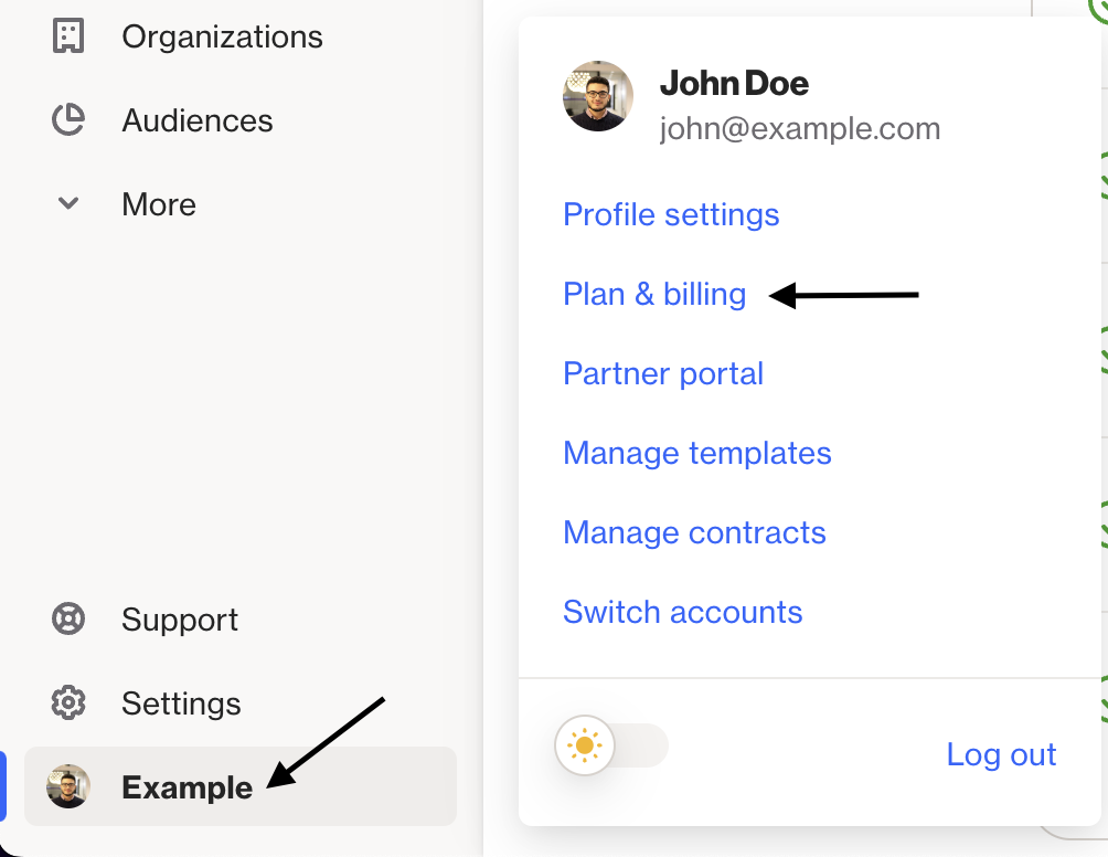 What is a Custom IP and how do I purchase one? - Ortto help
